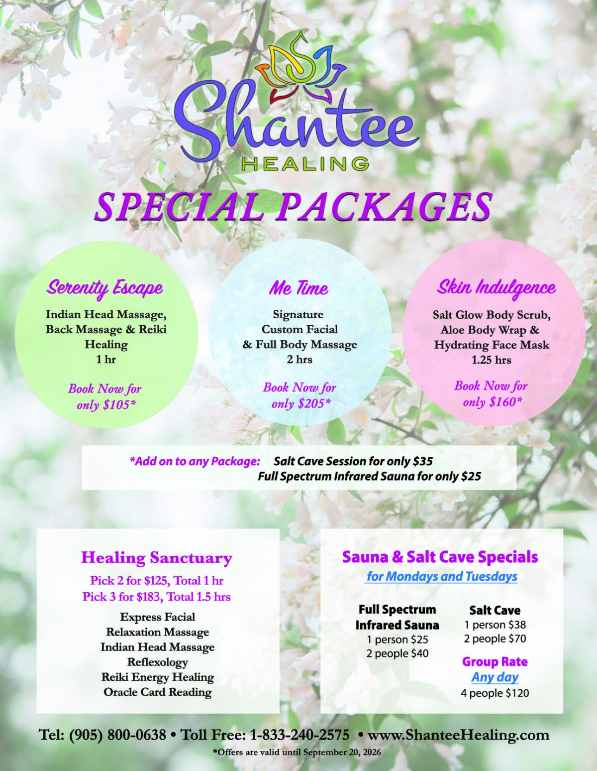 Shantee Healing | Specials